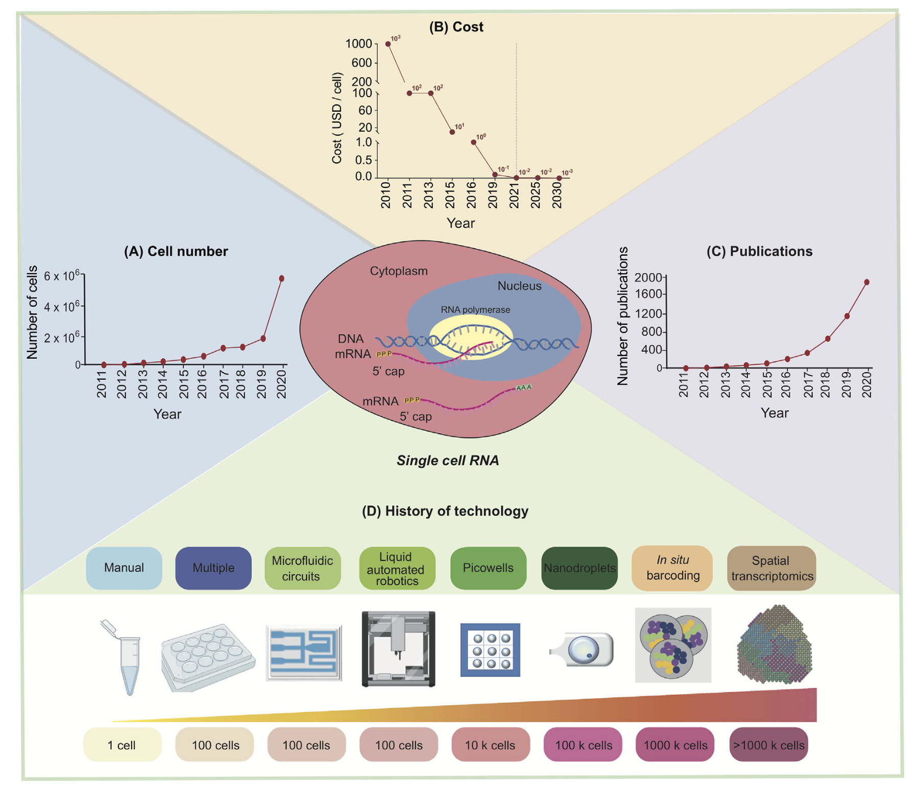 Introduction to Cell Annotation with ScType | Slow and Steady